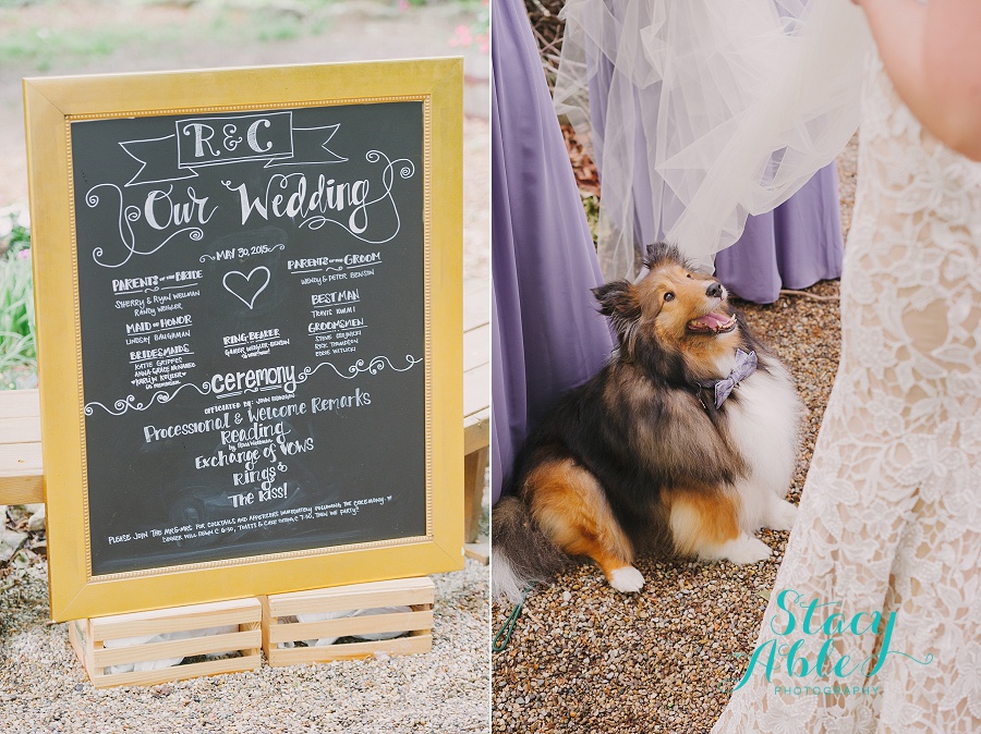 Apple works Orchard wedding Indianapolis Wedding Photographer ...